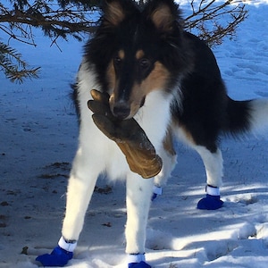 Finish Top Dog Booties set of 4 Sled Dog Snow Boots Iditarod - Etsy