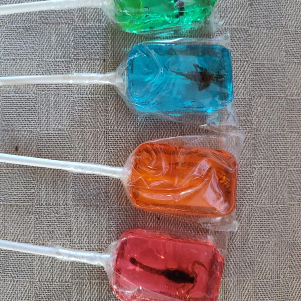 Hotlix Insect Lollipops, Edible Bug Candy, Weird Food Gift, 4 Pack - Etsy