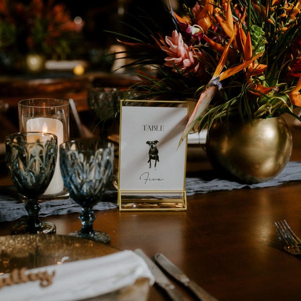 Custom Pet Table Numbers - Etsy