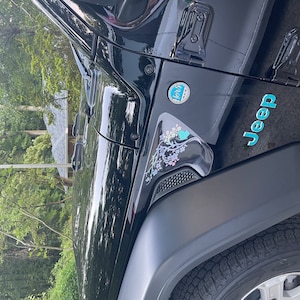 Bikini Edition Decal for Bikini Colored Vehicle - Etsy