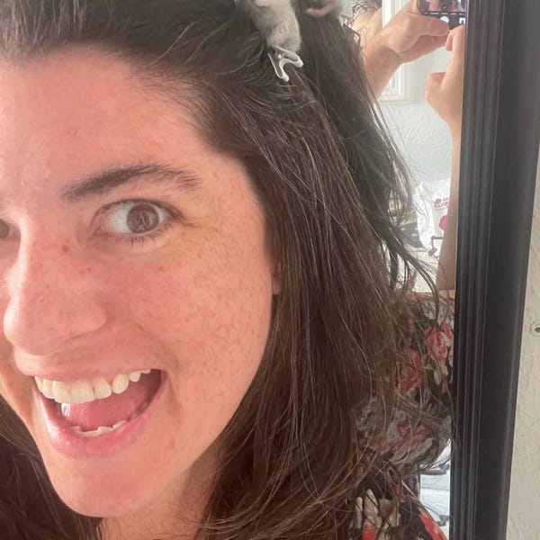 Bobby Pin With a Needle Felted Rat, Wool Hairpin - Etsy