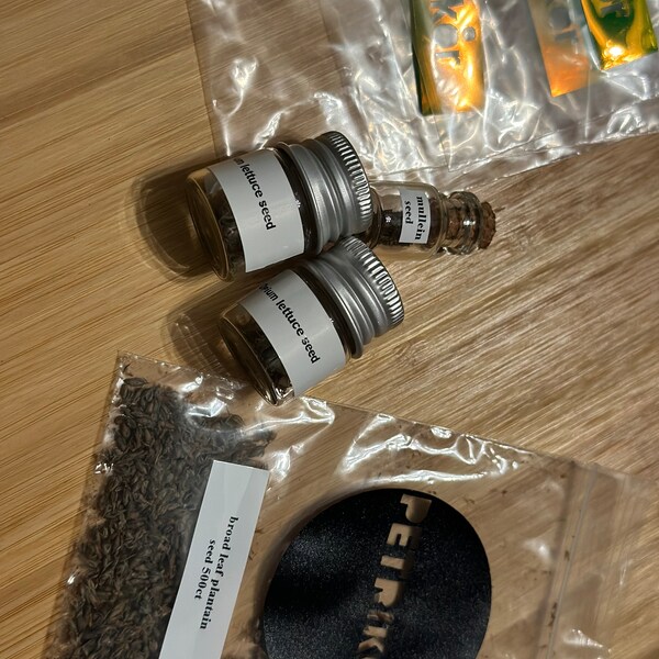 Mimosa Tree Bark (albizia Julibrissin). Mimosa Tree. Tree of Hapiness ...