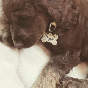 Yellow Floral Dog Tag Rustic Dog Tag Faux Wood ID Cat ID - Etsy