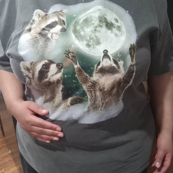 Comfort Colors Raccoons Shirt, Three Raccoons Vintage Graphic Shirt ...