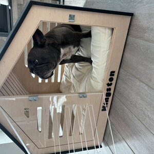 Fully Transparent Modern Dog and Cat House With Acrylic Sides Petso ...