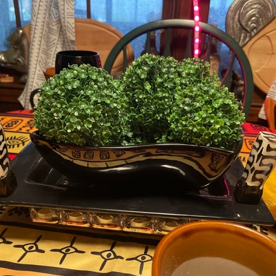 Safari Animal Table Display Hand-carved Mahogany party Animals - Etsy