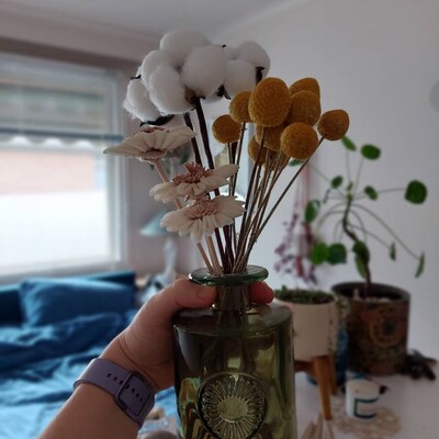 LARGE Head Preserved Hydrangeas Dark CHOCOLATE Dried - Etsy