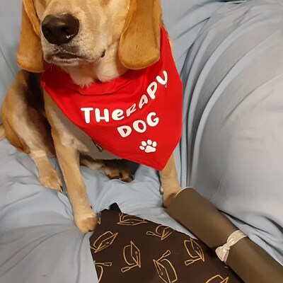 TEXAS Longhorns University of Texas UT NCAA Austin - Etsy