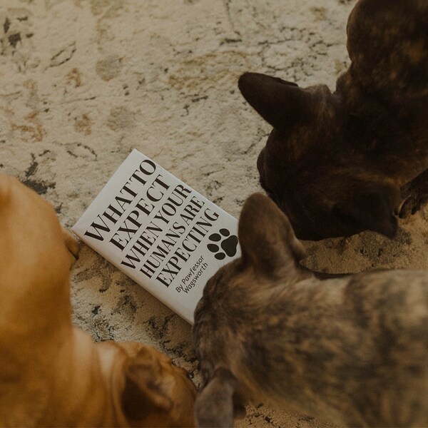 INSTANT DOWNLOAD What to Expect When Your Humans Are Expecting Fake ...