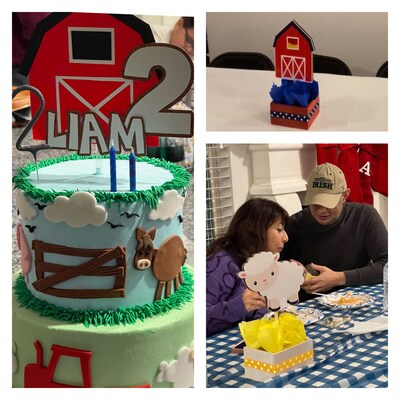 Farm Theme Birthday Theme Farm Theme Baby Shower Barn Yard Party ...