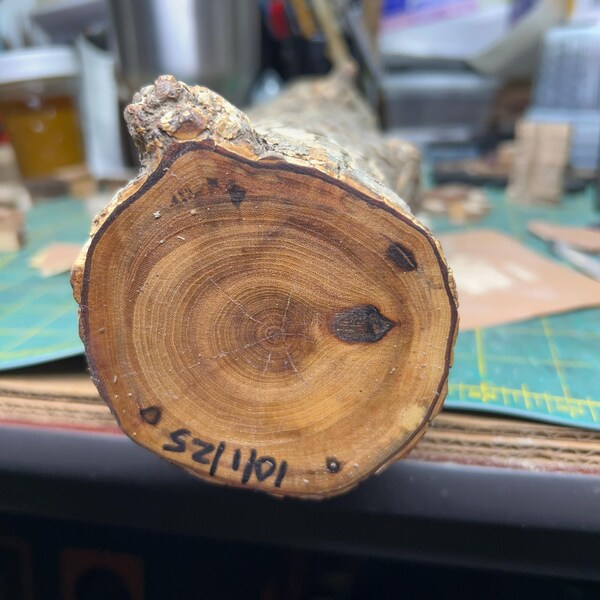 Honey Locust Project Log, Green Project Wood for Woodworking, Wood ...