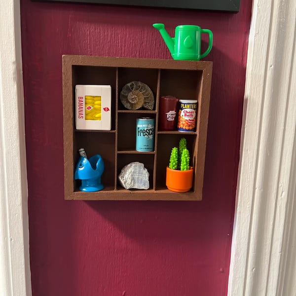 Wooden Curiosity Cabinet Printer Tray Letterbox Display, Rock Display ...