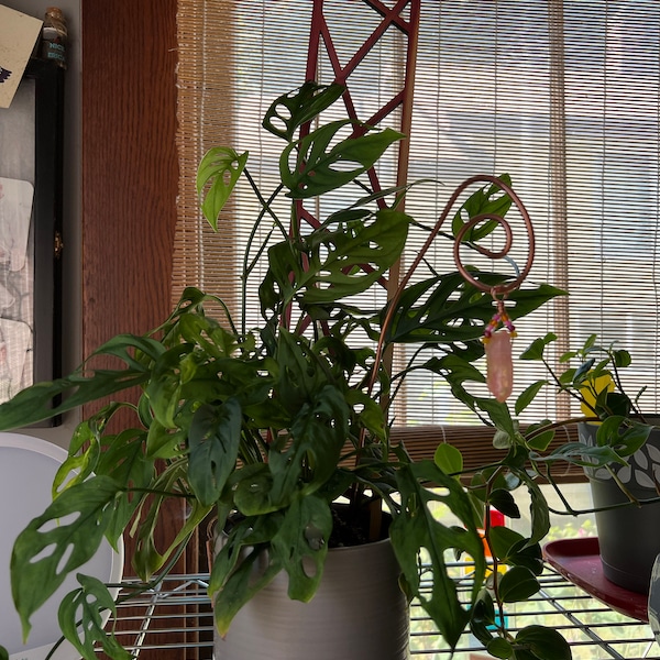 Angular Indoor Plant Trellis - Etsy