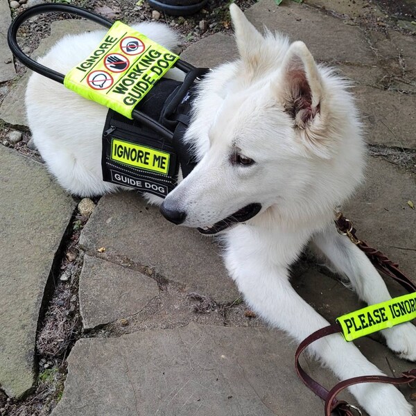 1 Patch, IGNORE ME, 5x2, Sew On, Customizable, Custom Embroidered Patch ...