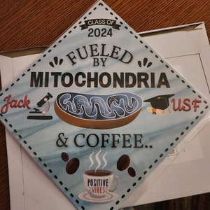 Graduation Cap Topper / MBA - Etsy