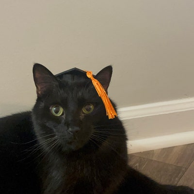 Mini-sized Graduation Cap Cat Hat for Your Cat FREE SHIPPING Add-on ...