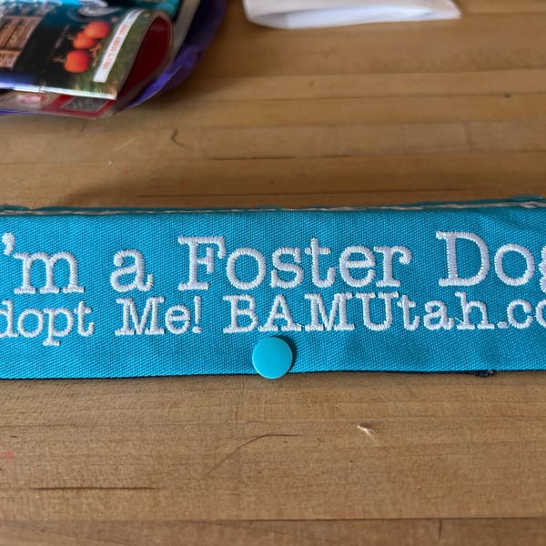 1 I'm a Foster Dog, Choose Which Ending, Leash Sleeve, Collar Wrap ...