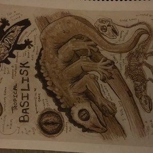 Tlanuwa Hawk Mythological Bird Cryptid Creature Original - Etsy