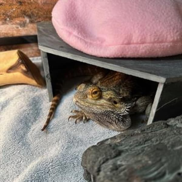 3 Tier Open Back Slate Hide 11x11x8" for Fish, Snake, Reptile, Turtle ...