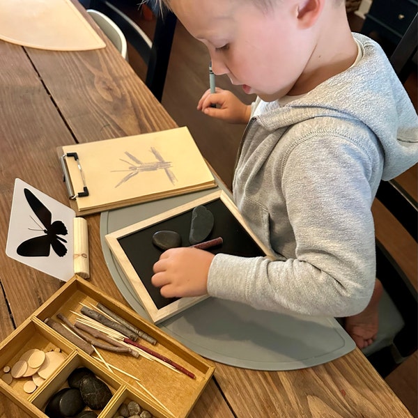 Insect Exploration Activity Set | Nature-inspired STEM Bug Study ...