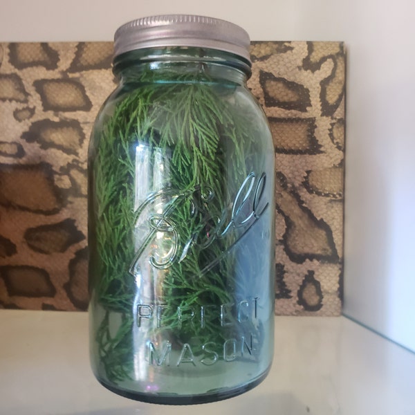 Tree Bark, Mini Bark Pieces, Forest, Craft Material, Creative, Natural ...