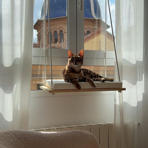 Cat Window Perch, Cat Hammock, Cat Window Bed, Wood Cat Shelves ...