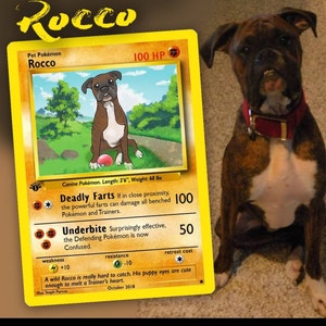 Your Pet as a Pokemon card | Etsy
