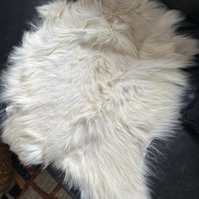 Real Giant European Wild Boar Skin Hooves Hide Pelt Area Rug Hide ...