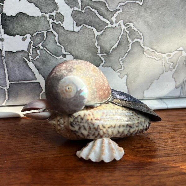 Seashell Animal Art - Tina the Turtle - Etsy