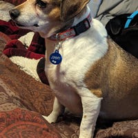 Rhinestone Template Material 8 1/2 X 10 Sheet Create Your Own Stencils ...