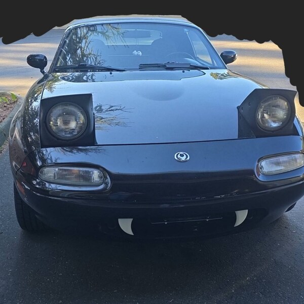 Universal Car Vampire Teeth / Bumper Fangs / Halloween Car Decoration ...