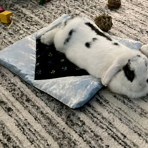 Siamese Catnip Toy Tuxedo Cat Catnip Toy Panther Catnip | Etsy