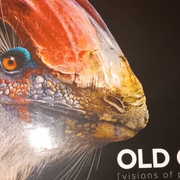 NOVOSAURS 2 Book - Etsy