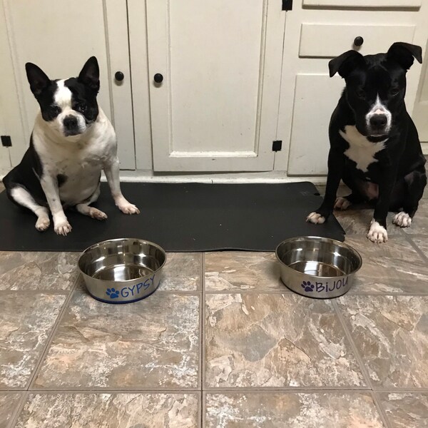 Personalized Dog Bowl Decal // Personalized Cat Bowl Decal // Dog Name ...