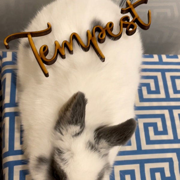 LIVE PREVIEW Custom Pet Name Sign, Custom Wooden Pet Name Sign, Custom ...