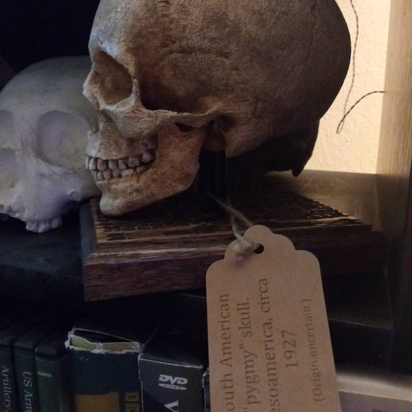 Human Skull Ornament | Unique Skull Decor | Gothic Decoration, Bone Art ...