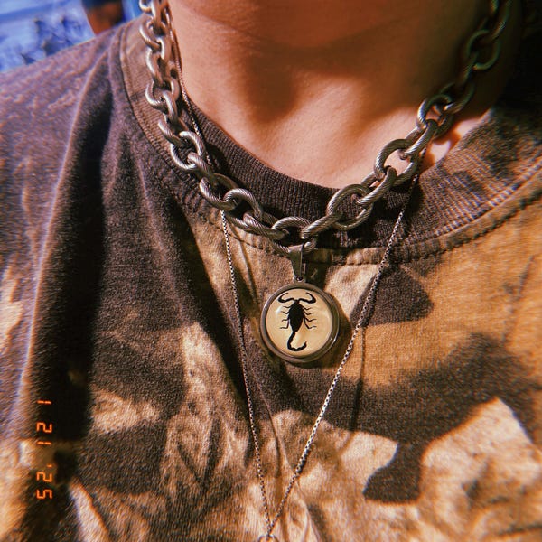 Real Scorpion Stainless Steel Choker Necklace, Bold Gothic Bug Jewelry ...