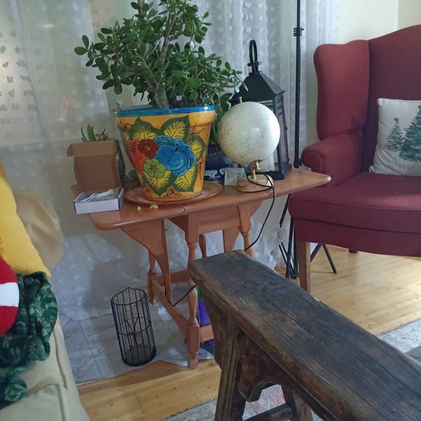 Lycoris Radiata Bulb Aka Spider Lily or Hurricane Lily - Etsy