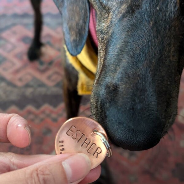 Custom Copper Dog Collar ID Tag / Personalized Pet Nameplate - Gift for ...