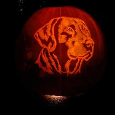 Retriever Labrador Template PDF and PNG for Hand Cutting SVG for ...