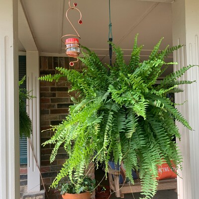 Copper Hummingbird Swing or Hummingbird Perch W/hook, Bird Perch, Red ...