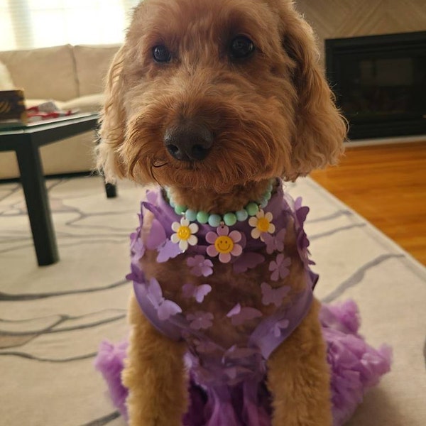 Korean Gat Hat, Korean Traditional Headpiece, Beads Chains, Cute Hanbok ...