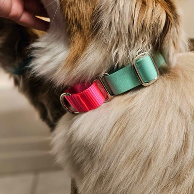 Biothane Tab or Bringsel Pick Your Color 1/2 Wide Heavy Weight, 8 Long ...