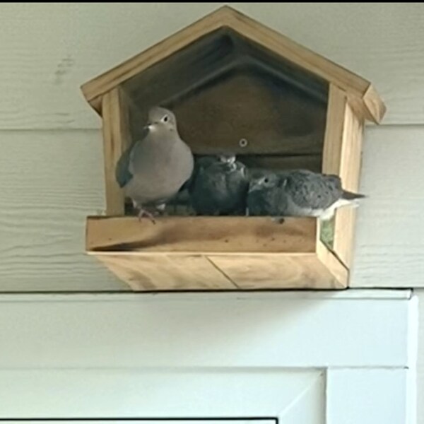 Large Handmade Dove House With Feeding Platform and Torched Finish ...