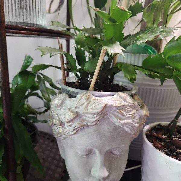 Personalized Greek Goddess Head Planter: Cement Woman Bust Face Pot ...