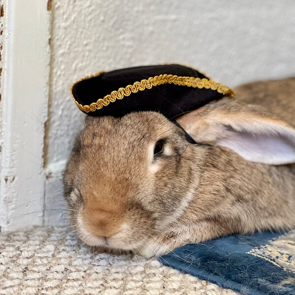 Colonial Tricorn Pirate Hat for Pet Bunny Rabbit and Other Small Pets ...