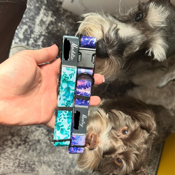 Green Chevron Dog Elite Bundle - Custom Dog Collar, Leash and Harness ...