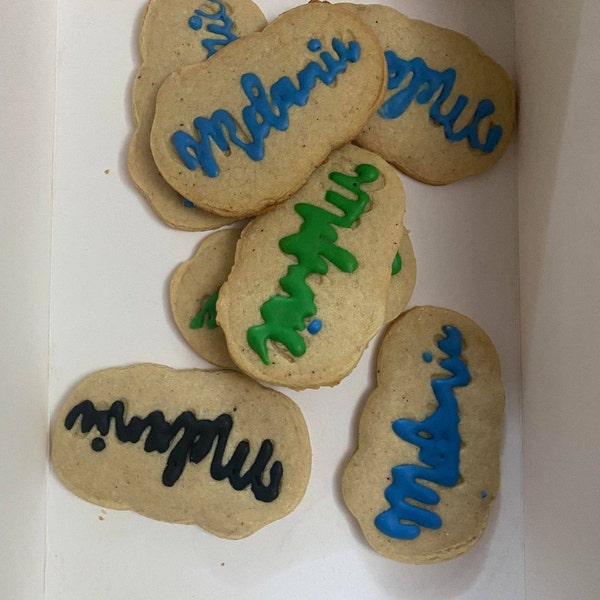 Personalized Name Cookie Cutter, Cookie Stamp, or Stencil, One Name ...