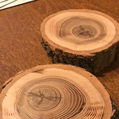 Large Wood Slices, Thick Wood Disks, Wood Slab Centerpiece, Live Edge ...