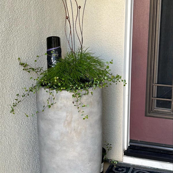 Mitten Tree/hat and Glove Drying Rack/housewarming Gift/home Decor - Etsy